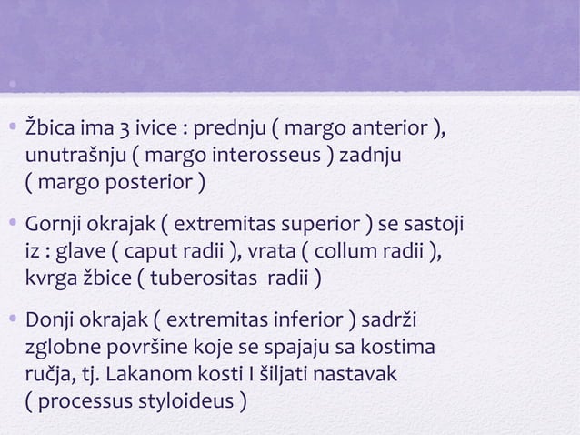 KOSTI RUKE | ODP