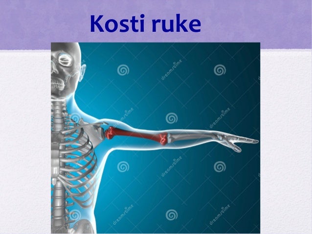 KOSTI RUKE