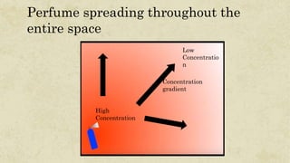 study of liquid diffusion | PPTX