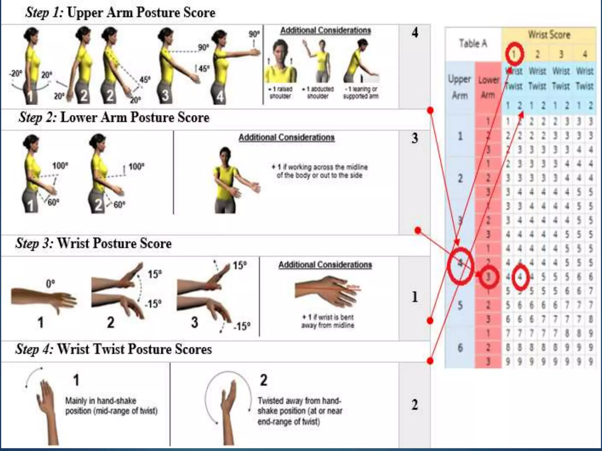 Rapid Upper Limb Assessment (RULA) - Human Factors | PPTX