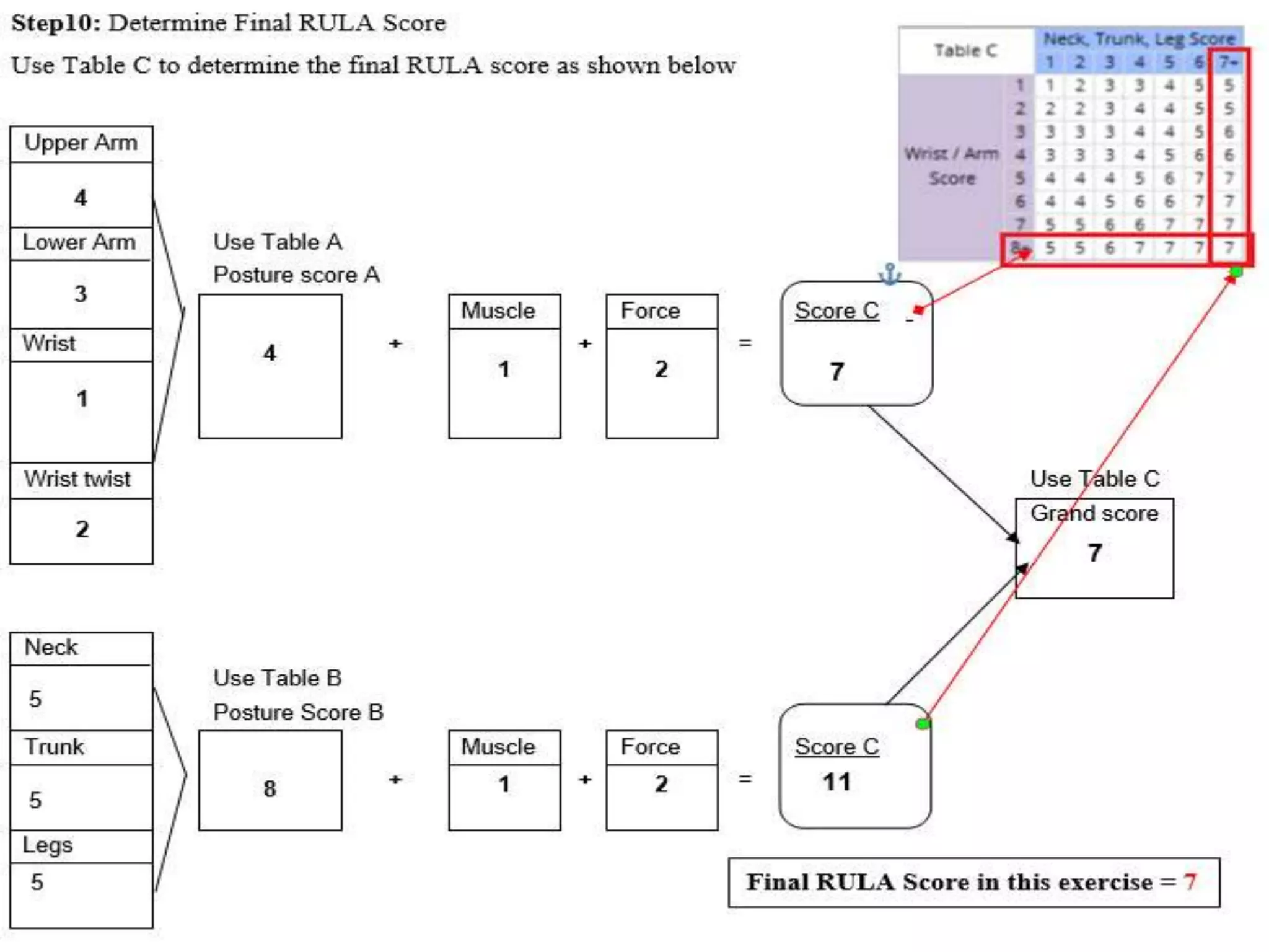 Rapid Upper Limb Assessment (RULA) - Human Factors | PPTX