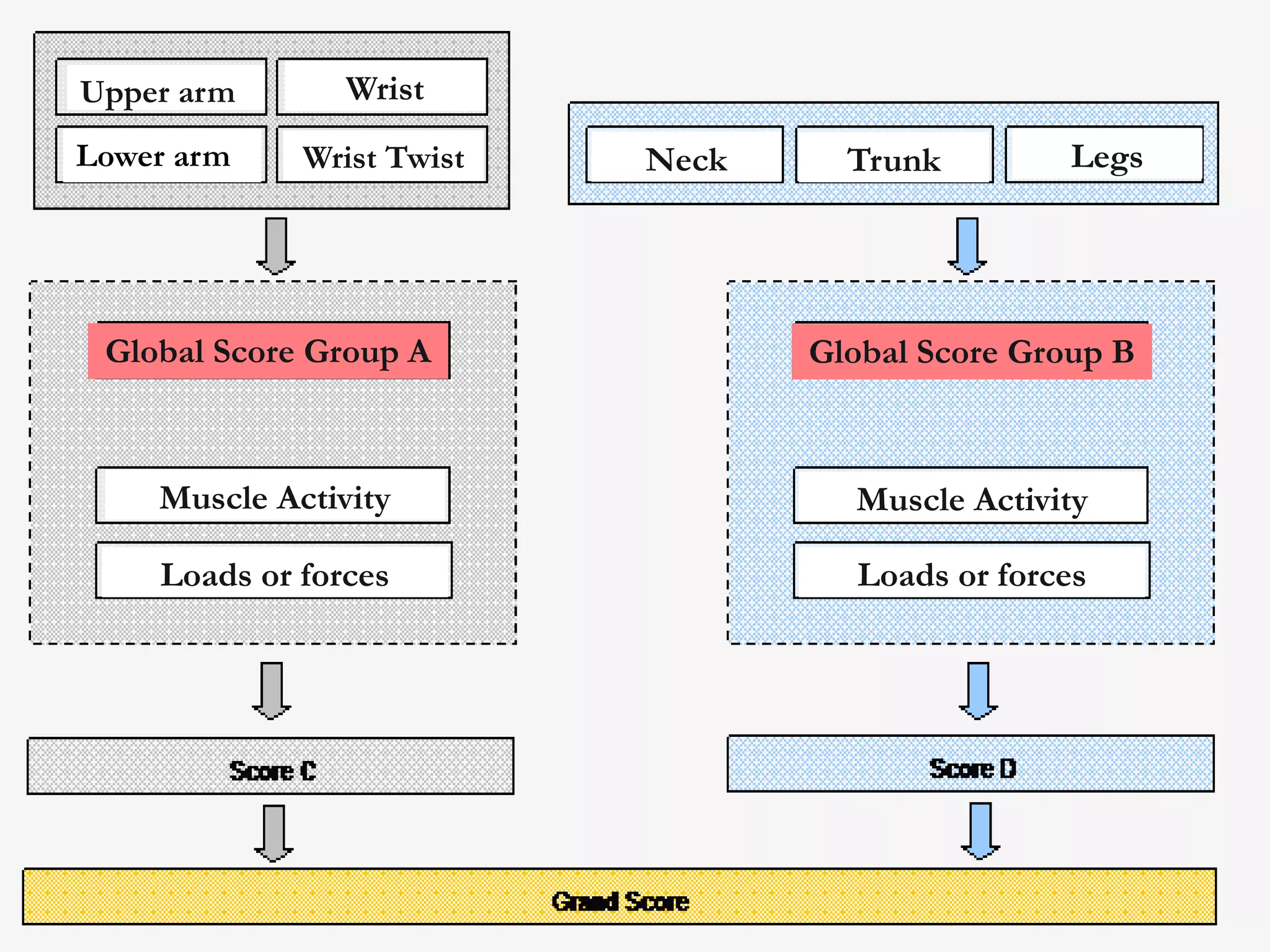 Rapid Upper Limb Assessment (RULA) - Human Factors | PPTX