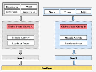 Rapid Upper Limb Assessment (RULA) - Human Factors | PPTX