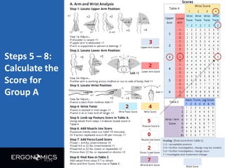 RULA - Rapid Upper Limb Assessment | PDF