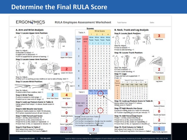 RULA - Rapid Upper Limb Assessment | PDF | Medical Health