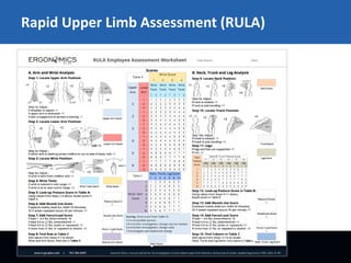 RULA - Rapid Upper Limb Assessment | PDF