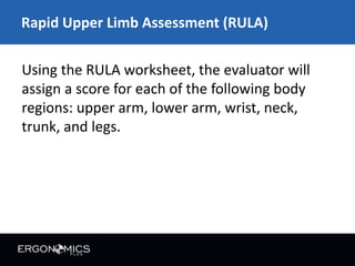 RULA - Rapid Upper Limb Assessment | PDF