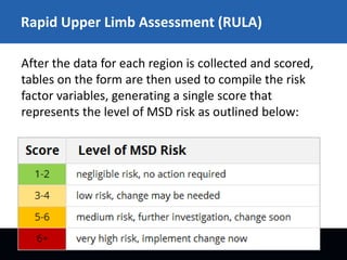 RULA - Rapid Upper Limb Assessment | PDF