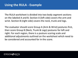 RULA - Rapid Upper Limb Assessment | PDF
