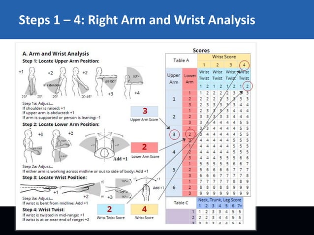 RULA - Rapid Upper Limb Assessment | PDF | Medical Health