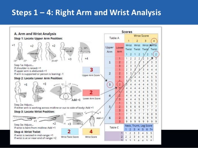 RULA - Rapid Upper Limb Assessment