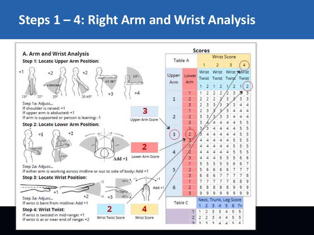 RULA - Rapid Upper Limb Assessment
