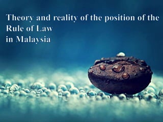 Introduction to law assignment | PPTX