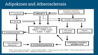 RuleofAdipokines in cardiovasculardisease.pdf