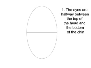 Rule of halves | PPTX