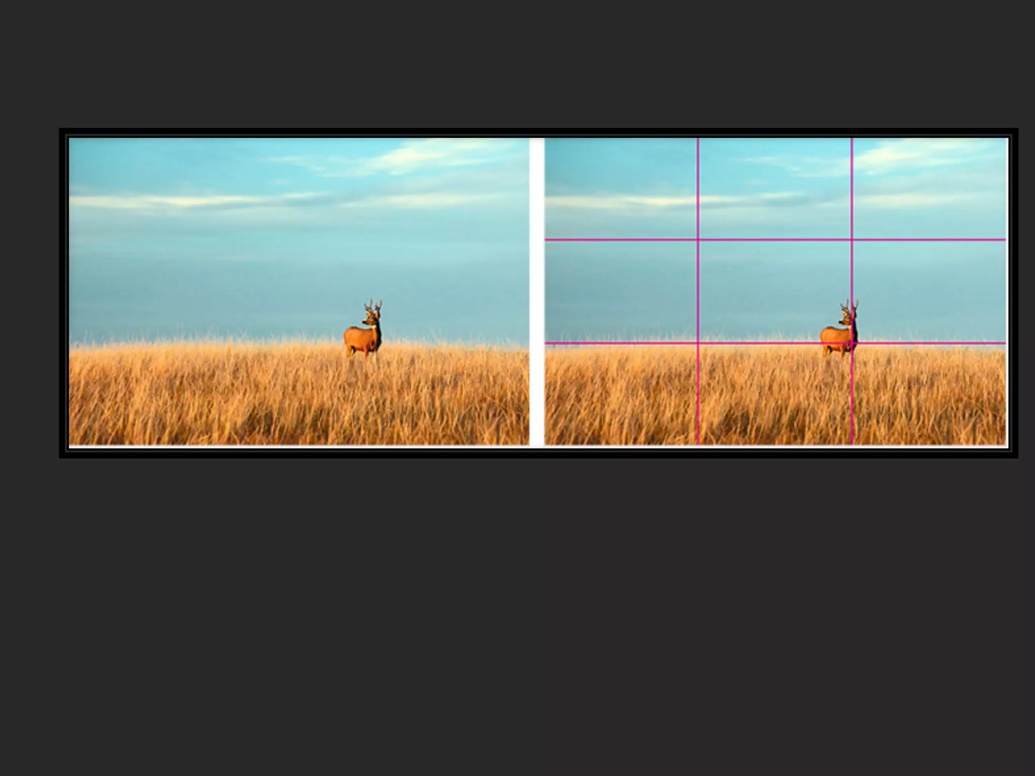 High School Photography Lesson, Rule of thirds | PDF