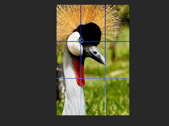 High School Photography Lesson, Rule of thirds | PDF