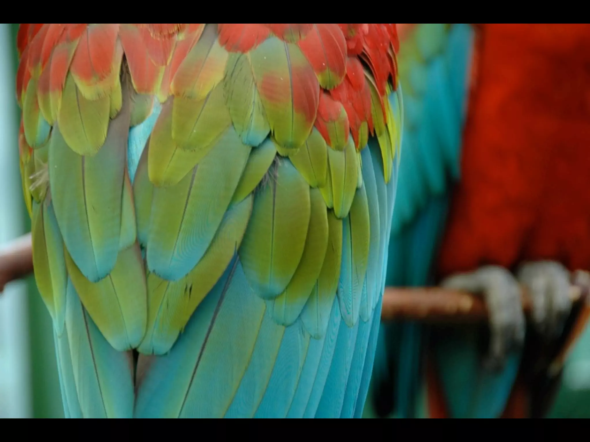 Composition: Rule Of Thirds | KEY