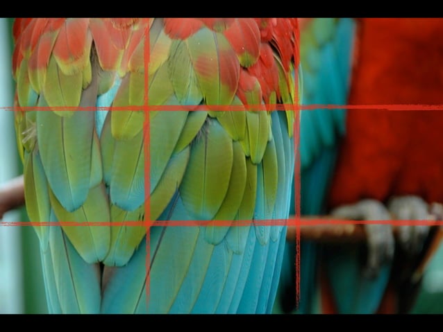 Composition: Rule Of Thirds | KEY