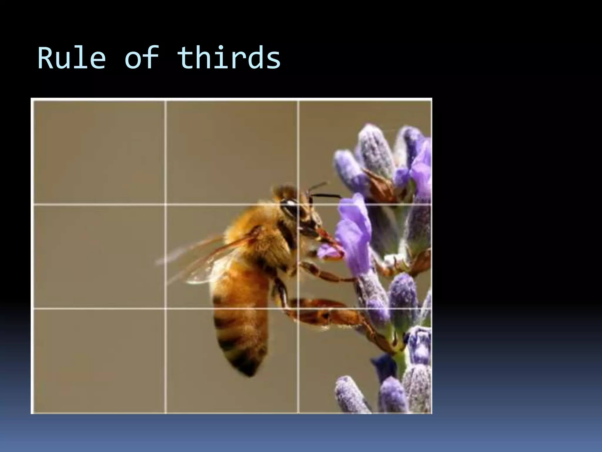 Rule of thirds & Composition | PDF