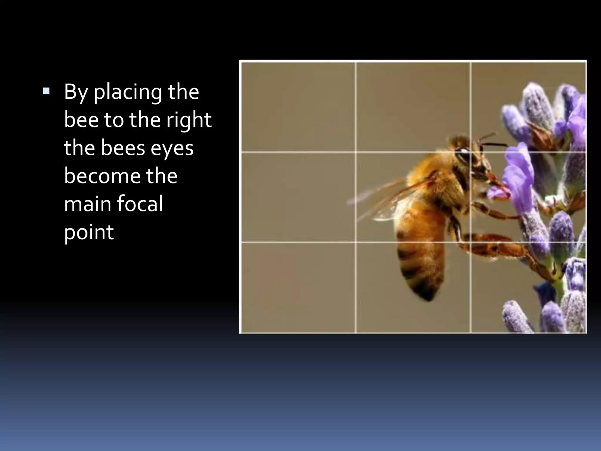 Rule of thirds & Composition | PDF