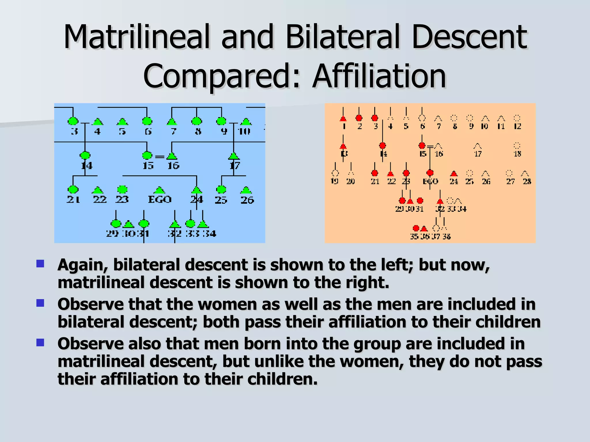 Rules of Descent: How Kin are Reckoned | PPT
