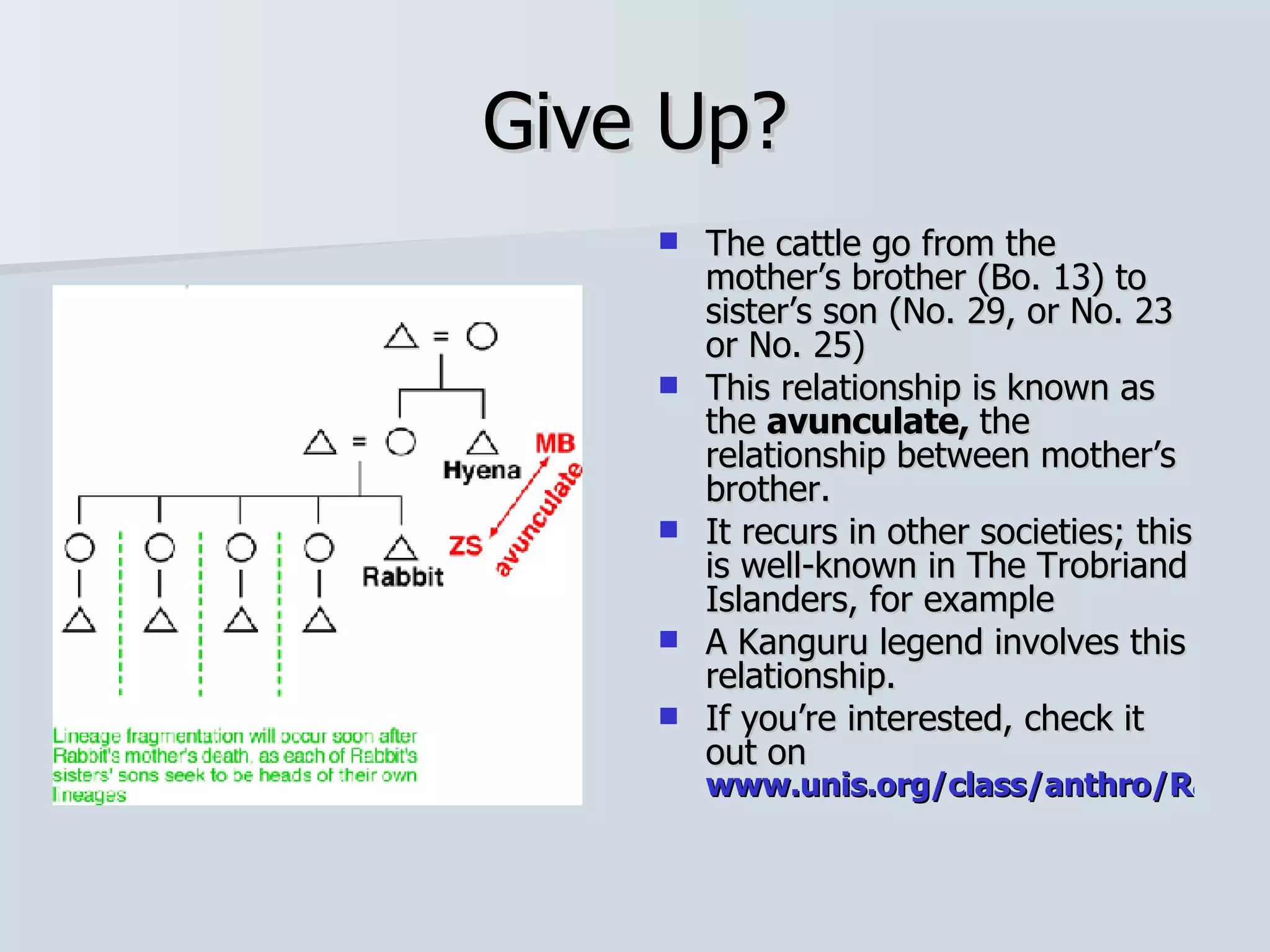 Rules of Descent: How Kin are Reckoned | PPT