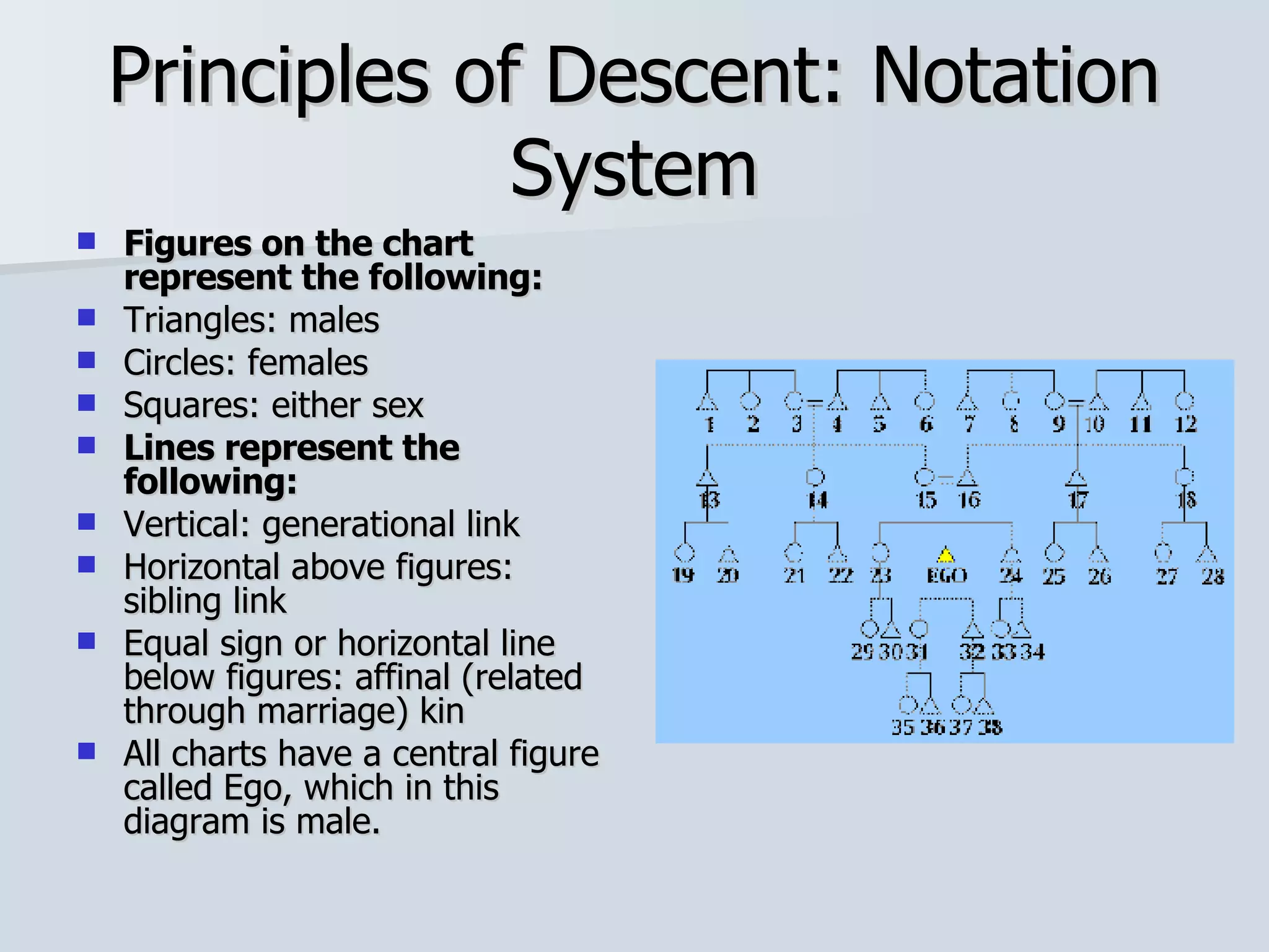Rules of Descent: How Kin are Reckoned | PPT