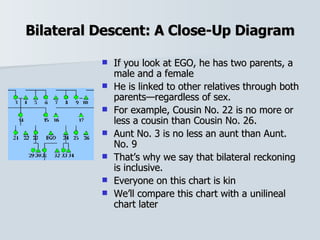 Rules of Descent: How Kin are Reckoned | PPT