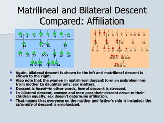 Rules of Descent: How Kin are Reckoned | PPT