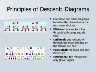 Rules of Descent: How Kin are Reckoned | PPT