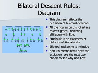 Rules of Descent: How Kin are Reckoned | PPT