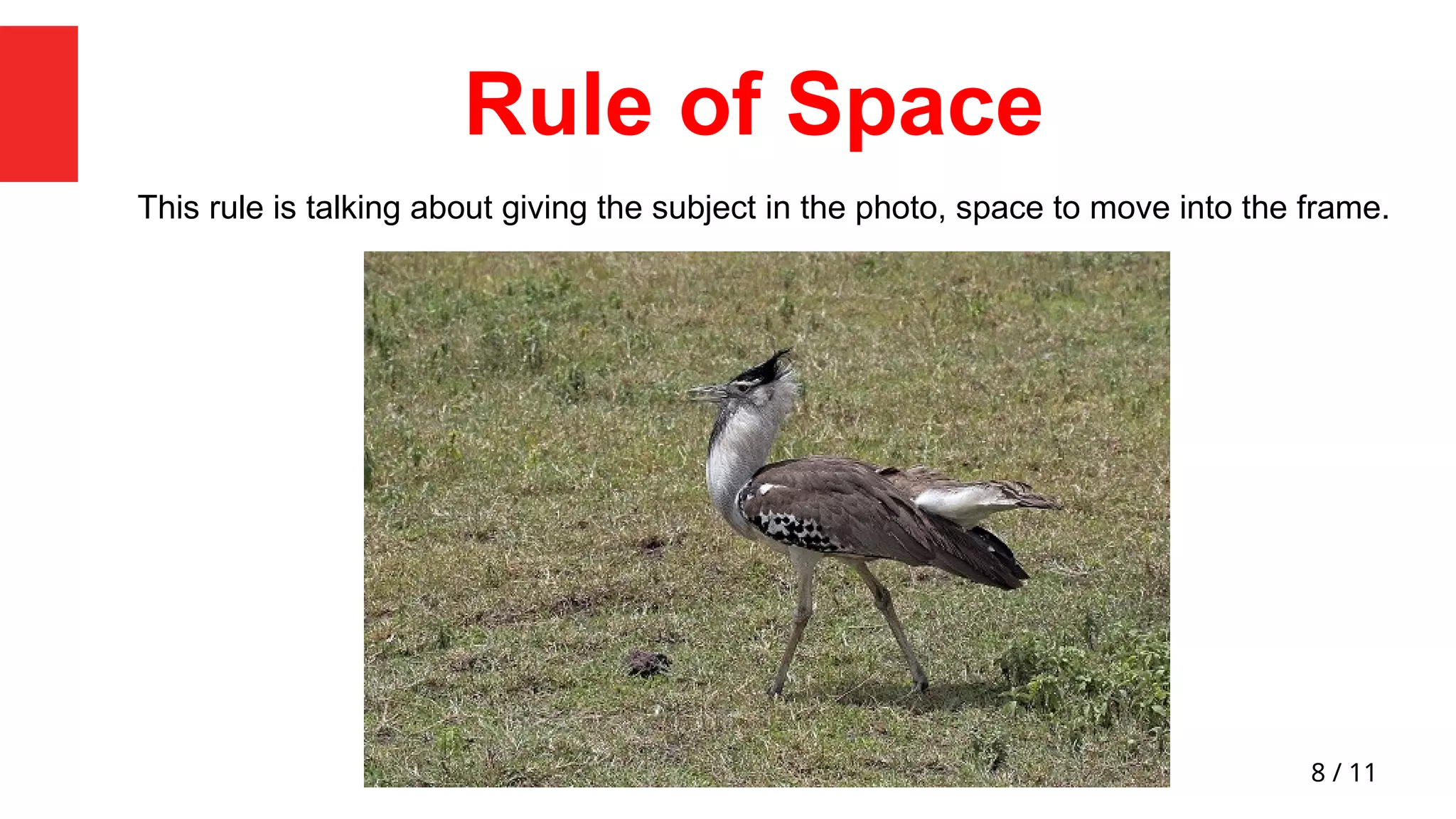 Rules of composition | PDF