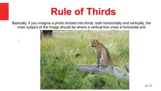 Rules of composition | PDF