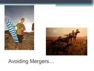 Rules of photography | PPT
