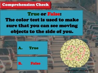 Rules of the road vision test presentation | PPTX