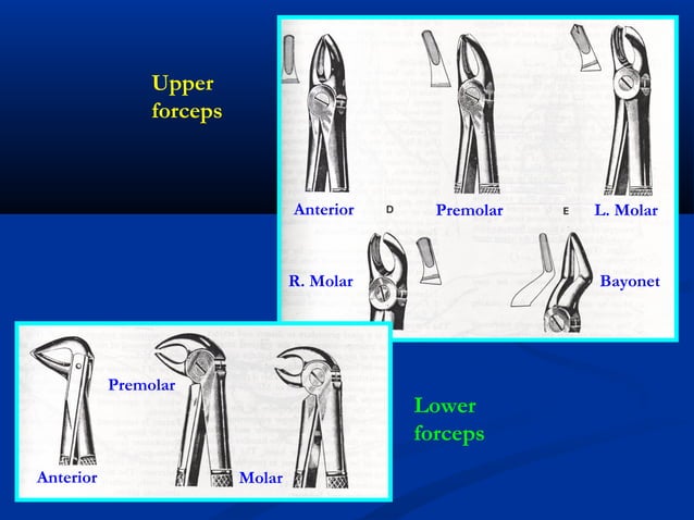 Rules of using dental forceps & elevator | PPT | Dental Health ...