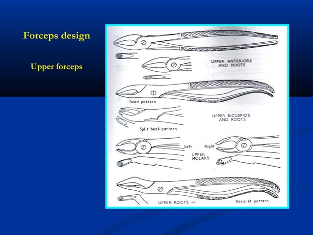 Rules of using dental forceps & elevator | PPT | Dental Health ...
