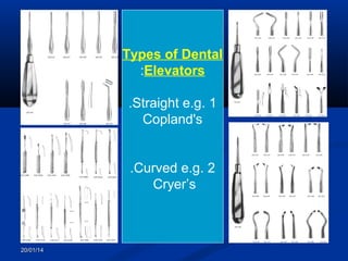 Rules of using dental forceps & elevator | PPT