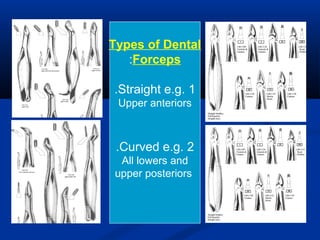 Dental Forceps Types