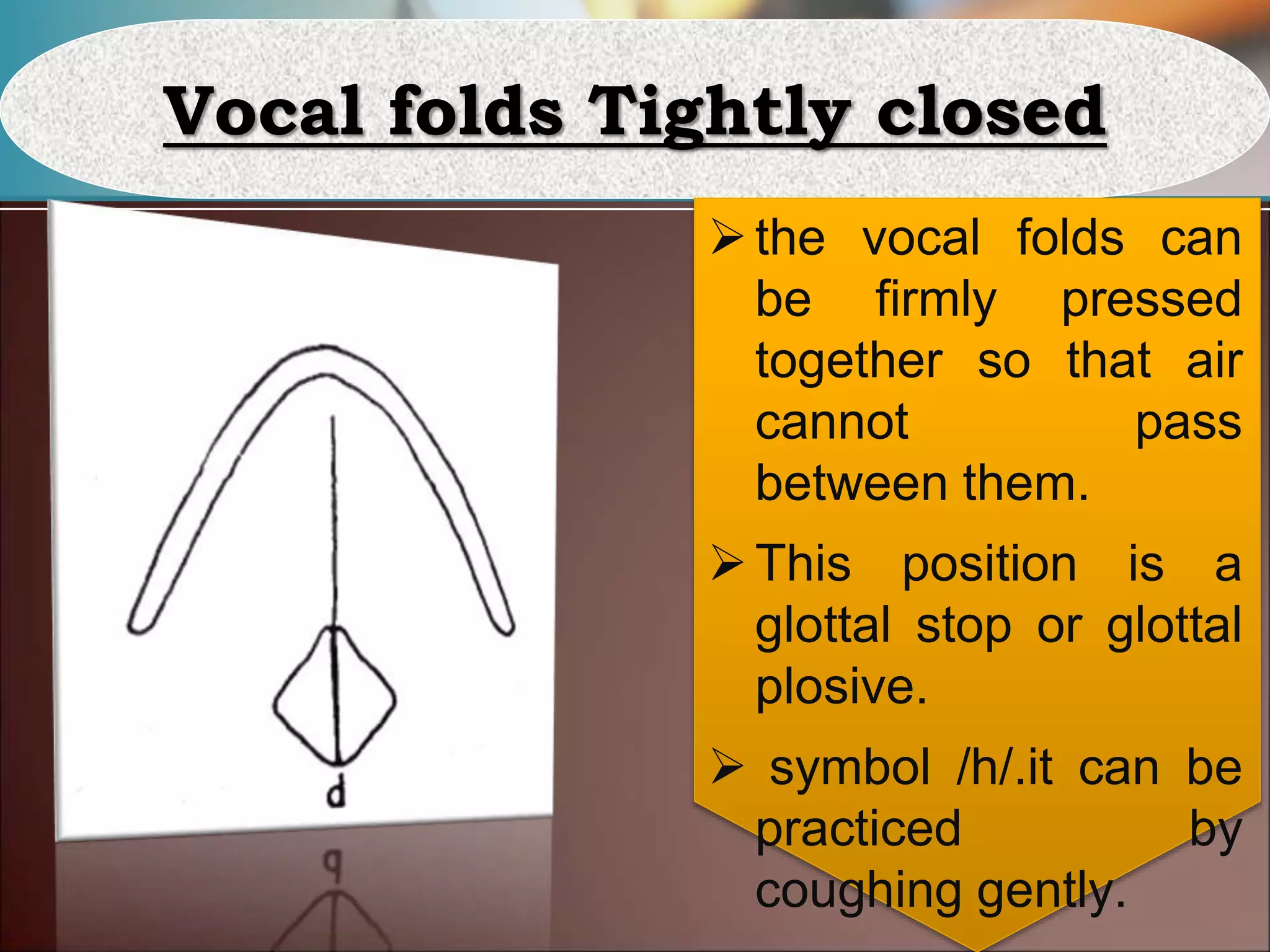 Rules of voicing | PPTX