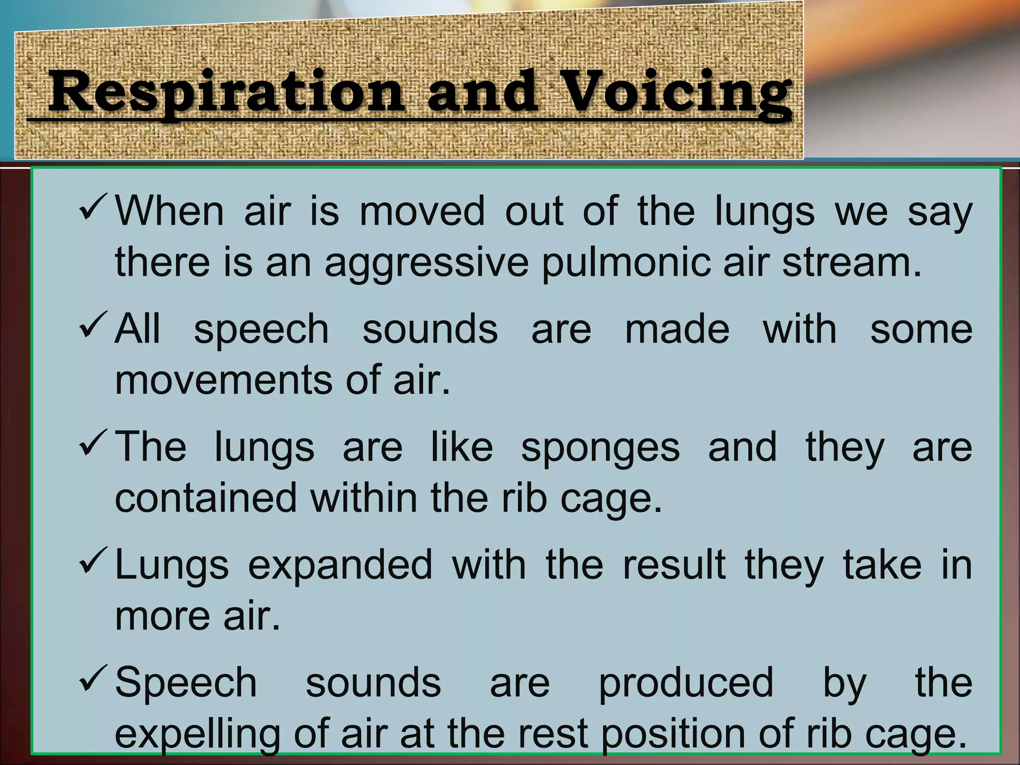 Rules of voicing | PPTX
