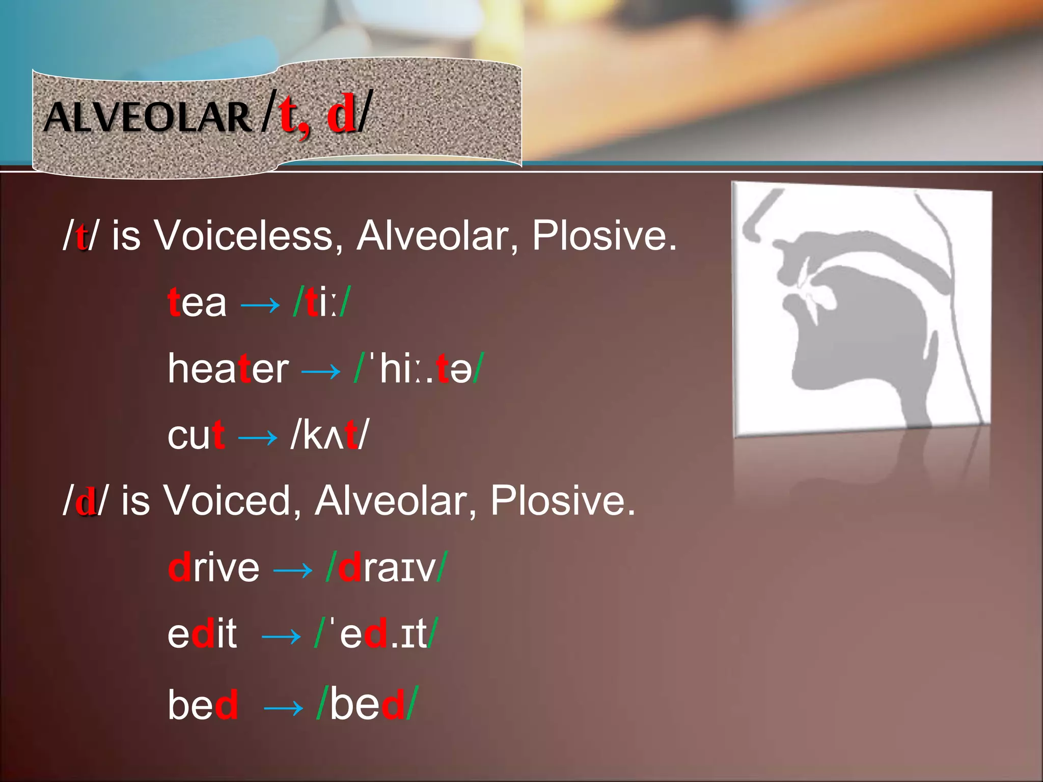 Rules of voicing | PPTX