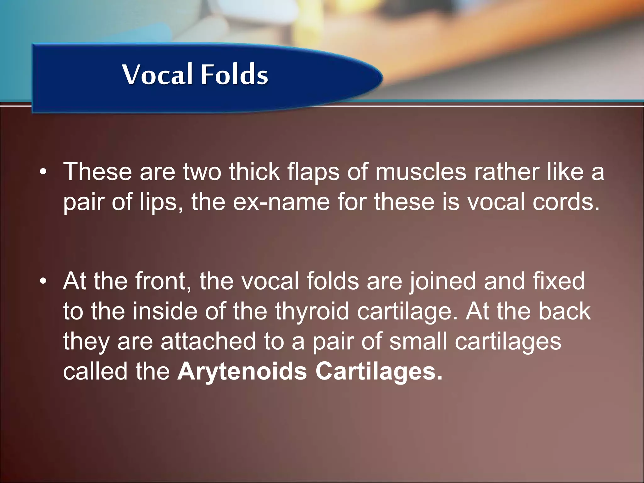 Rules of voicing | PPTX