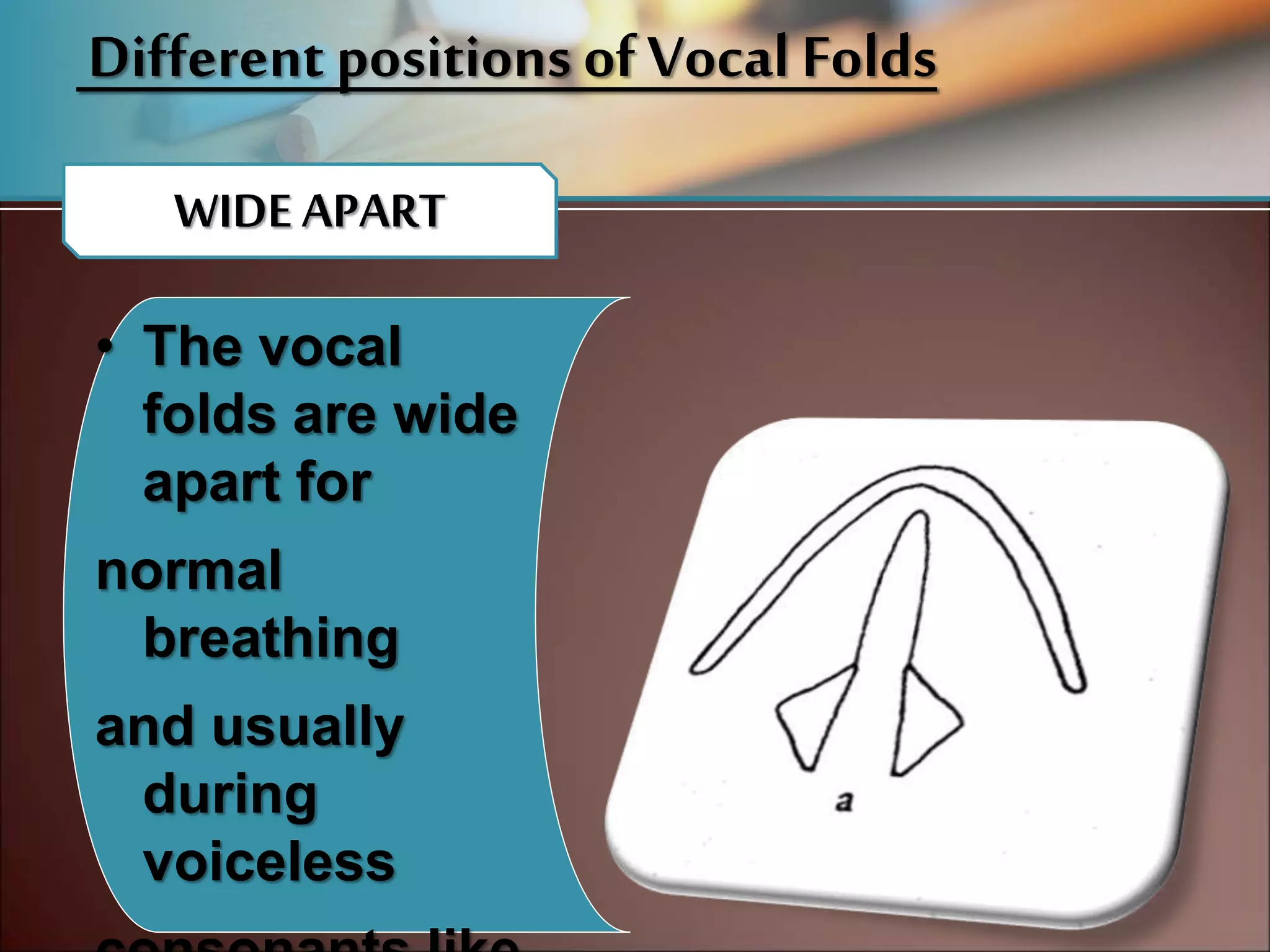 Rules of voicing | PPTX