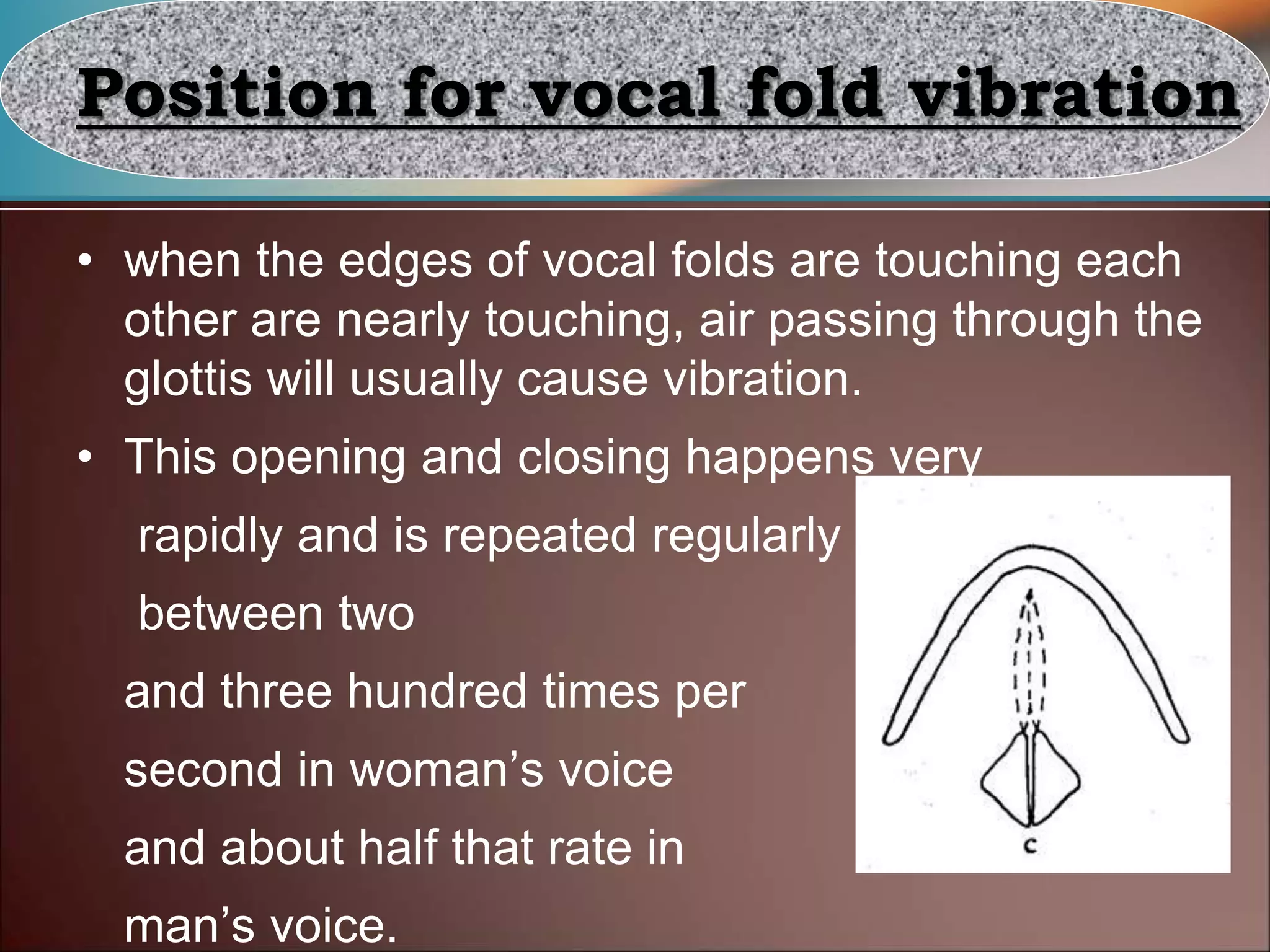 Rules of voicing | PPTX