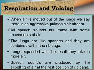 Rules of voicing | PPTX