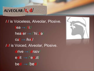 Rules of voicing | PPTX