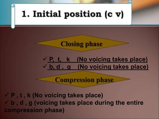 Rules of voicing | PPTX