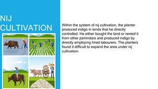 Ruling the Countryside - PPT.pptx